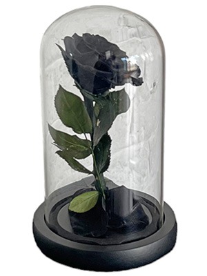 Black Rose Bell Jar | Theme Traders